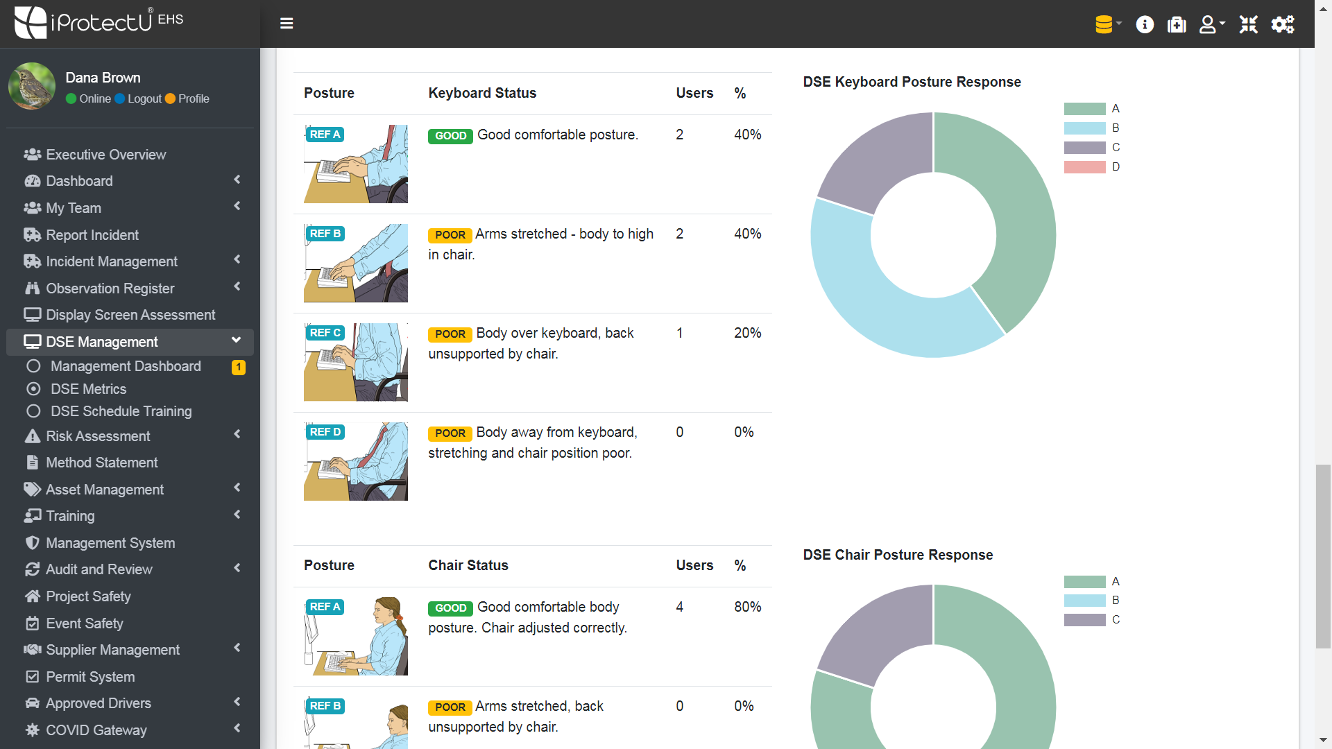 Display Screen Equipment Software